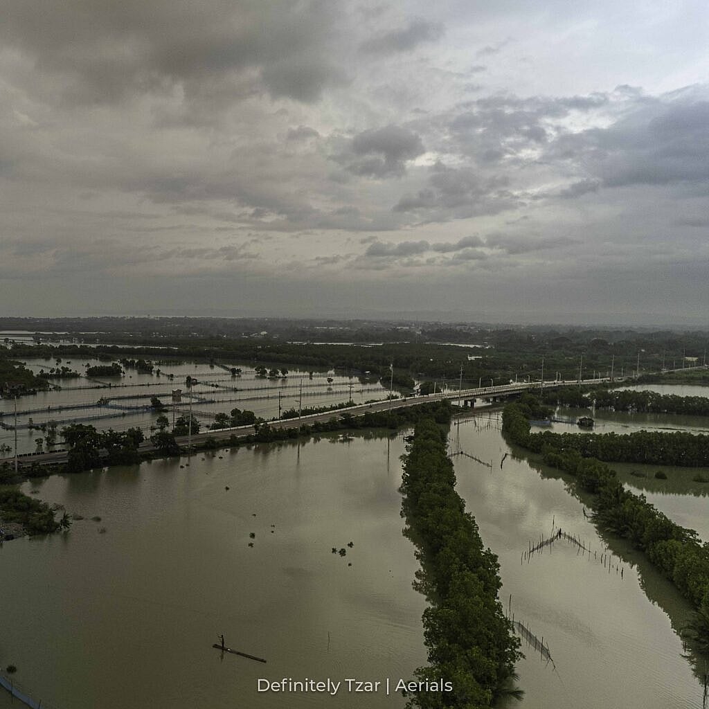 Bonuan Dagupan Fish Ponds: The Pioneering Ground for World-Class ...